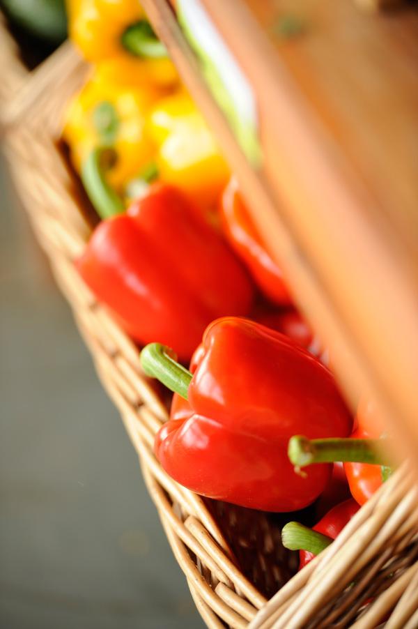 Trevaskis Farm Gallery | Trevaskis Farm